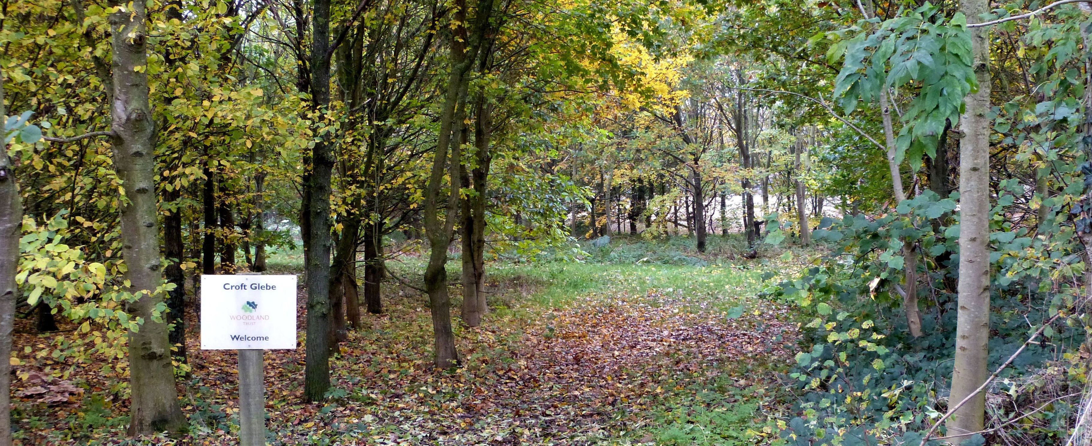 Croft Glebe | NatureSpot