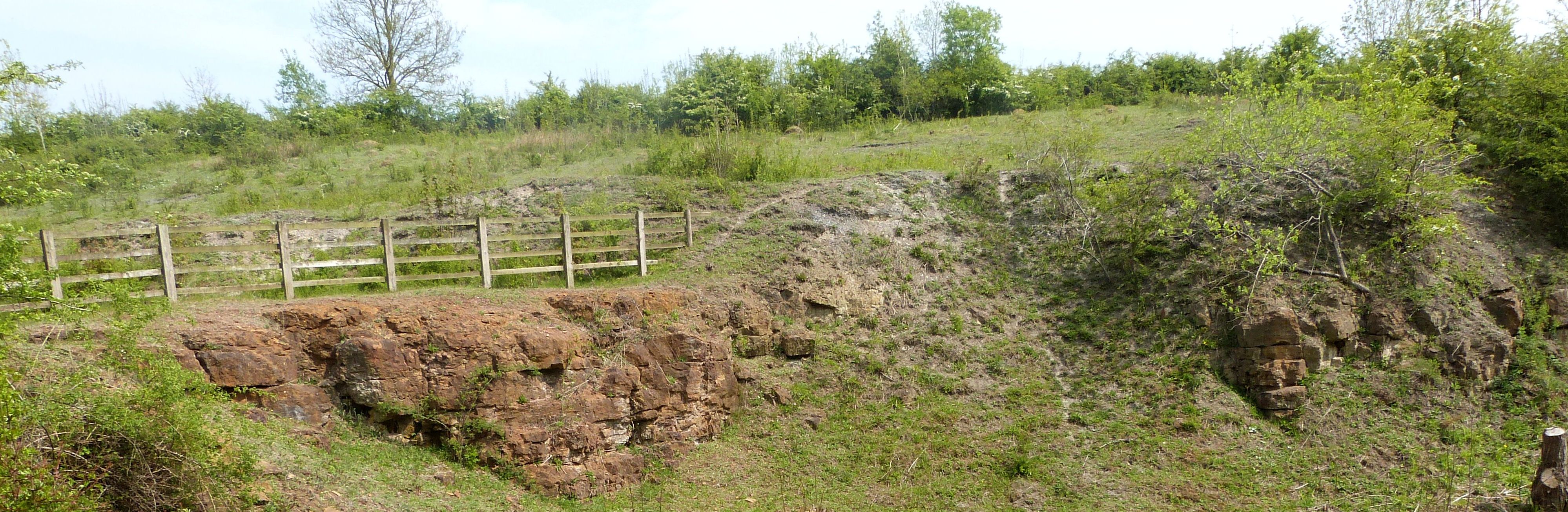 Holwell Reserves | NatureSpot