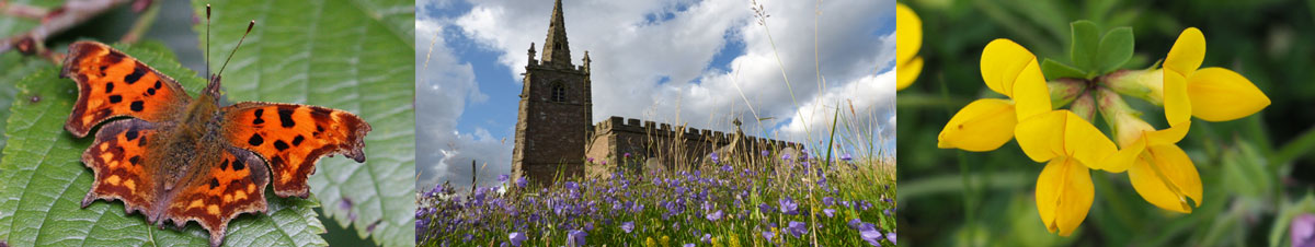 Peckleton, Kirkby Mallory & Stapleton | NatureSpot