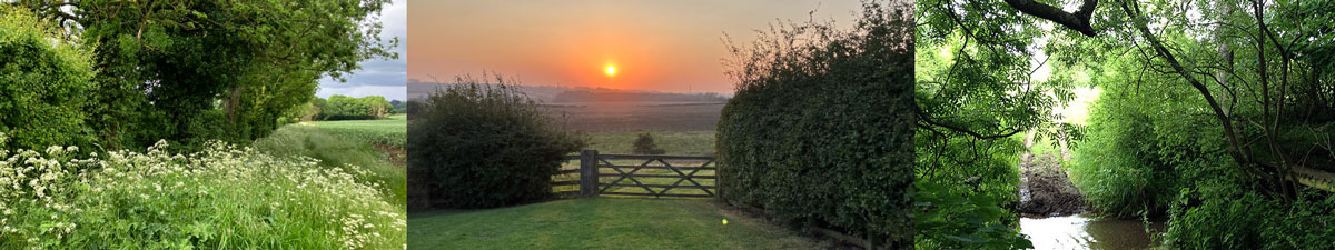 Tugby and Keythorpe | NatureSpot
