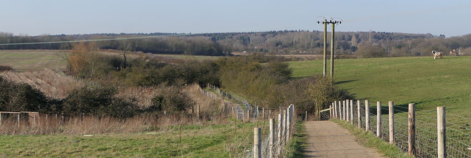 Glenfield, Roman Way | NatureSpot