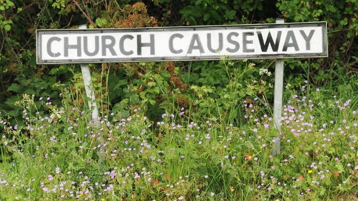 Church Langton, Church Causeway Verge | NatureSpot